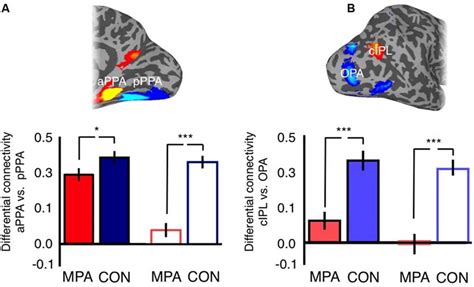 Posterioranterior Gradient Across Medial Parietal Cortex A Bars Download Scientific Diagram