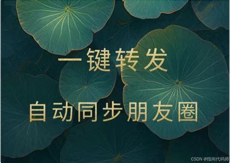 Php苹果 V X Iphone微商i O S多分开v X语音转发密友朋友圈一键跟圈软件ios自动跟圈 Csdn博客