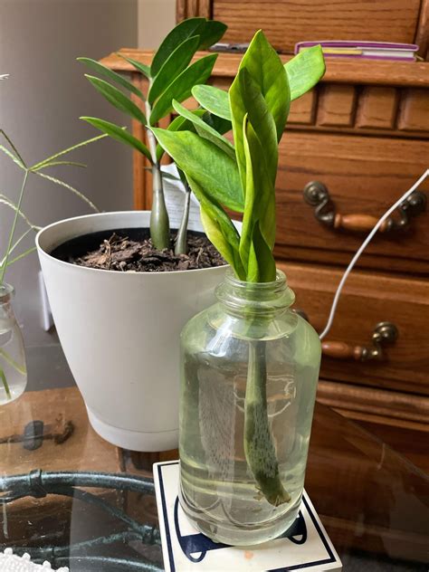 My Unity Project Just Got An Issue Where I Cannot Click Any Of The Ui