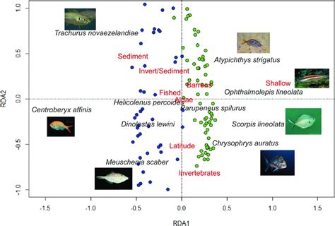 an rda triplot ordination of transformed relative abundance data