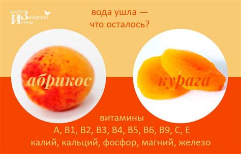 Курага. Польза и вред для организма