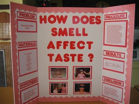 Pictures Of Science Fair Projects Description My Science Fair