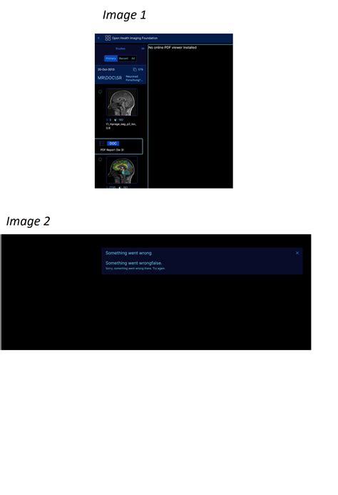 Ohif Plugin Is Displaying Mri Images But Not Pdf Or Sr General Orthanc Users