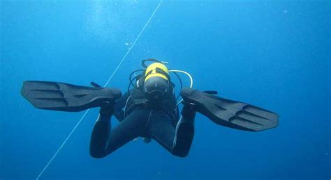 Can Snapping Turtles Swim With Pictures And Video TurtleOwner Com