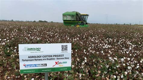 Cotton Yield Increase And Quality Improvement Cotton Project