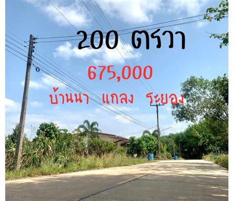 ขายที่สวยแปลงเล็ก 200 ตรวา ติดถนนคอนกรีต ที่ดินร้อยแปด คอม