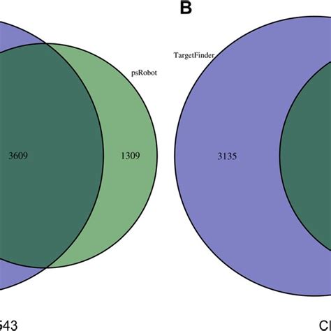 Summary Of Mirna Target Prediction Venn Diagram Of Mirna Targets