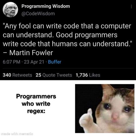 if programming languages were anime girls programmerhumor