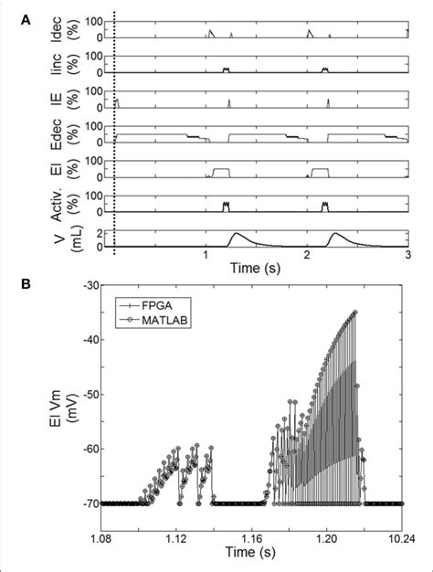 Behavior Of The Spiking Neural Network Snn When The System Is
