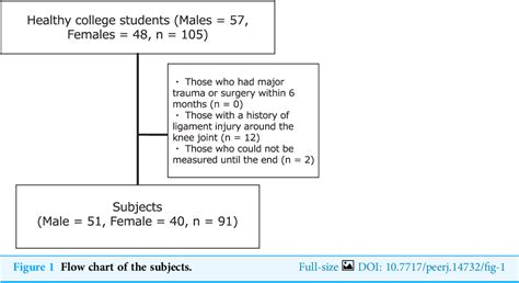 Figure 1 From Characteristics Of Muscle Contraction Of The Rectus
