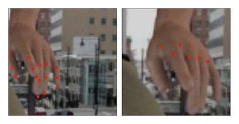 The Diagram And Examples Of Hand Key Points Division A Skeleton Download Scientific Diagram