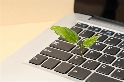Green It How To Implement Sustainable Computing Ilkley It Services