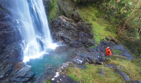 Dorrigo National Park Nsw National Parks