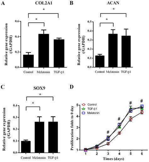 Extracellular Matrix Associated Gene Expression And Proliferation In Np Download Scientific