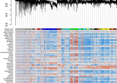 Cluster Dendrogram Of Wgcna Results Download Scientific Diagram