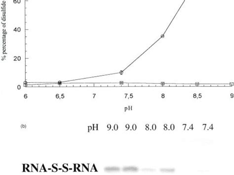 Stability Protocol Template Stability Study Protocol Template Free Template Design Williamson