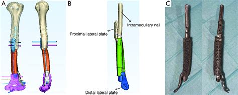 Design And Structure Of The Prosthesis A Through The Download Scientific Diagram