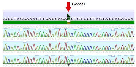 Figure 5 Mutant 23s Rrna Gene Sequence Chromatogram Using K3k4
