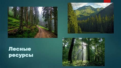 Польша Флаг Герб презентация онлайн