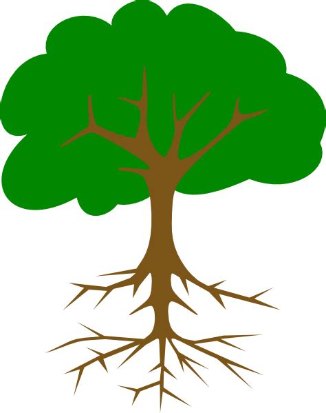 Clipart Tree Roots