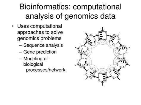 ppt introduction to genomics powerpoint presentation free download