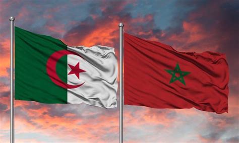 nour islam mokhtari on linkedin algeria morocco onepeople