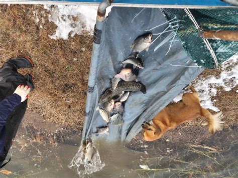 조황 정보 동절기 물낚시가능