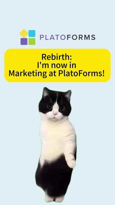 [video] formcan app on linkedin cat meme gen z newbies in marketing formcan lifetime deal