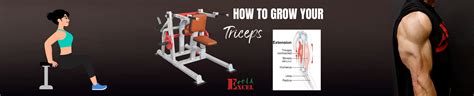 HOW TO GROW TRICEPS