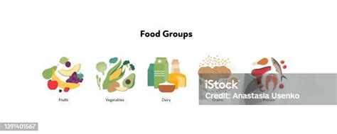 음식 그룹 그림 집합입니다 다양한 과일 채소 과일 유제품 곡물 및 단백질 제품 그룹 기호의 벡터 평면 디자인이 흰색 배경에 격리되어 있습니다 건강한 식생활에 대한 스톡 벡터