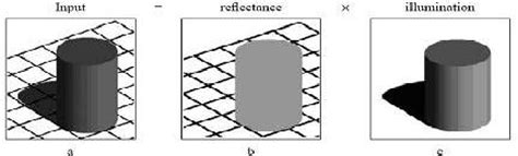 Figure 11 From Novel Methods For Extracting Illumination Invariant Images And Fast Classication