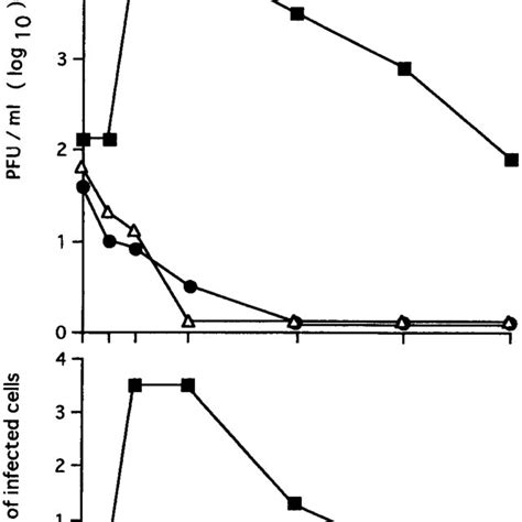 Effect Of Protein A On Ade Of Fipv Strain 79 1146 Infection In Human Download Scientific