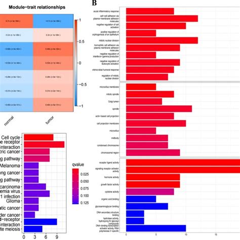 Module Feature Relationship Clustering Tree And Enrichment Analysis Download Scientific