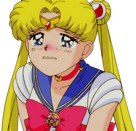 Sailor Moon Crying Vector 55 By Percysailormoon2002 On Deviantart