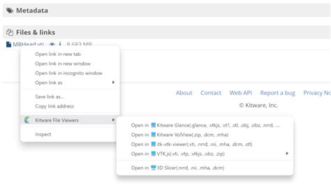⚡web browser add on to visualize file urls