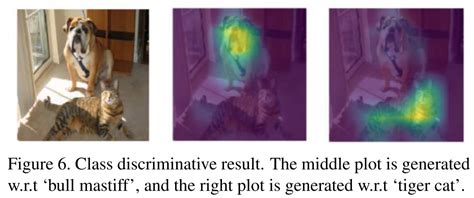 Score Cam Score Weighted Visual Explanations For Convolutional Neural