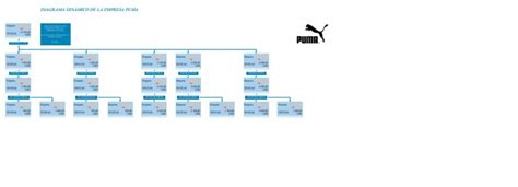 Organigrama De La Empresa Puma Pdf Negocios Finanzas Y Dinero