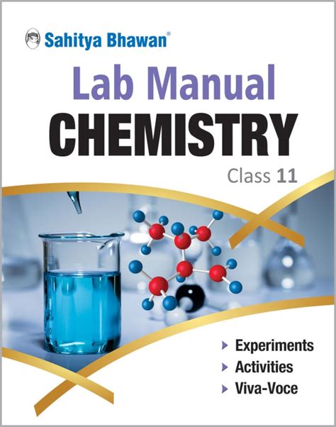Cbse Practical Lab Manual Project File Project Work Chemistry For Class 11 Sahitya Bhawan