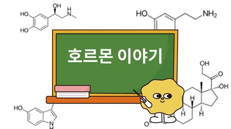 감정 생각 행동 변화에 중요한 호르몬 3가지 알아볼래요