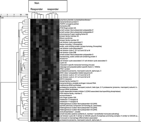 Microarray Plots Of The Responding Patients Versus Nonresponding