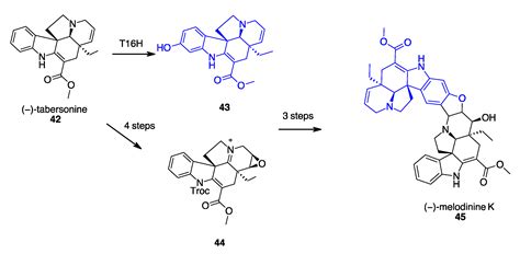 Current Progress In The Chemoenzymatic Synthesis Of Natural Products