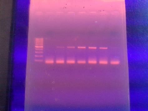 Why Do I Get Primer Dimers