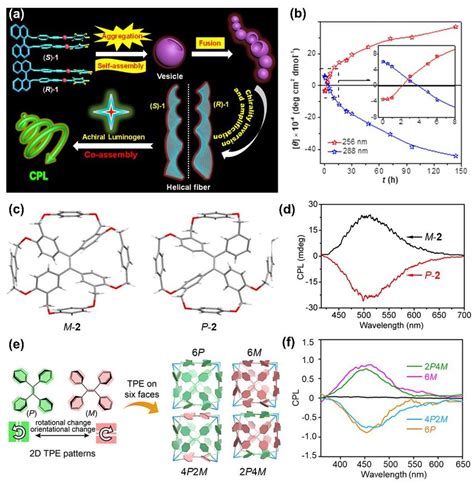 A Schematic Representation Of The Hierarchical Self Assembly And