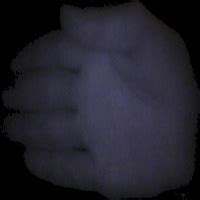 GitHub Arijitx HandGesturePy Static Hand Gesture Detection Using Opencv Python With Hog