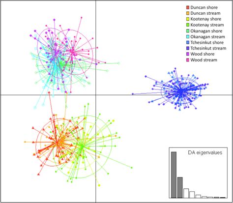 3 A Discriminate Analysis Of Principal Components Dapc Plot Depicting