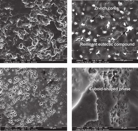Morphologies Of Corroded Surface After Removal Of Corrosion Products Download Scientific