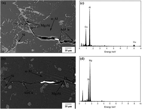 Sem Micrographs And Eds Analyses Of Crack Initiation And Propagation