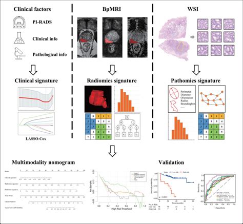 Development And Validation Of A Multimodality Model Based On Whole