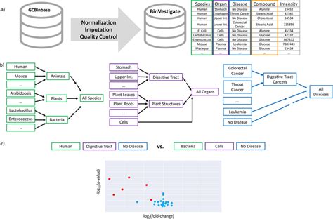 Overall Workflow For BinDiscover Database Queries A BinBase Records Download Scientific