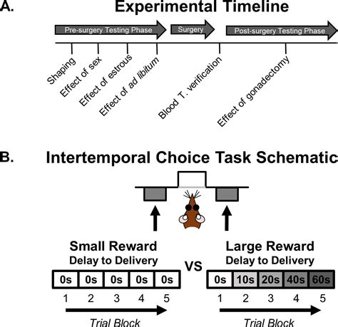 Figures And Data In Testicular Hormones Mediate Robust Sex Differences In Impulsive Choice In